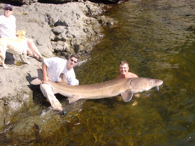 Freaky Fish, Episode 3 | The Rag Blog